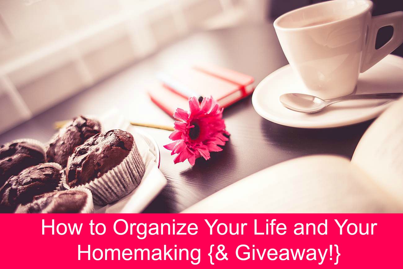 A Wise Woman Builds Her Home: How to Get Organized in Your Life ...