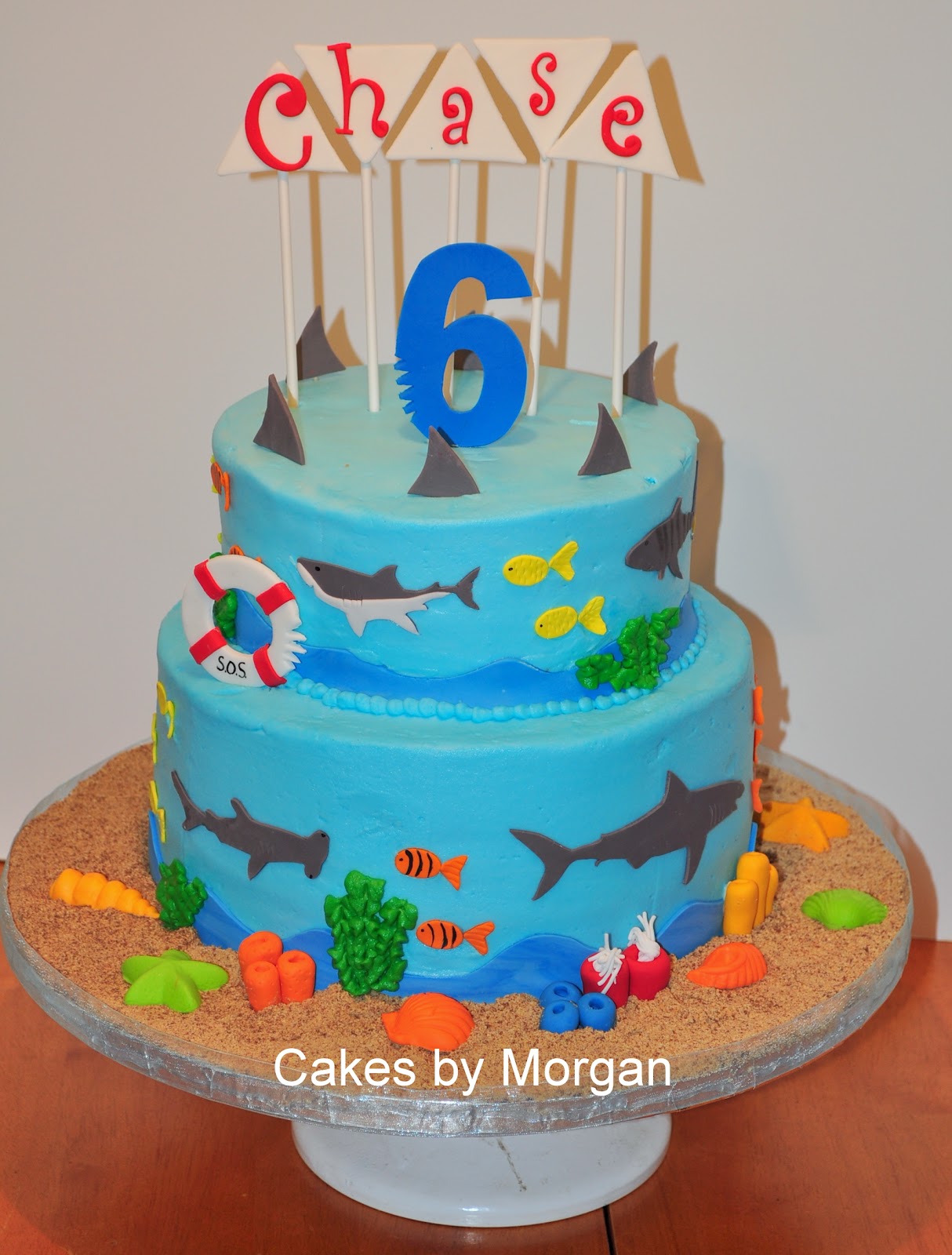 Morgan's Cakes: Shark Cake