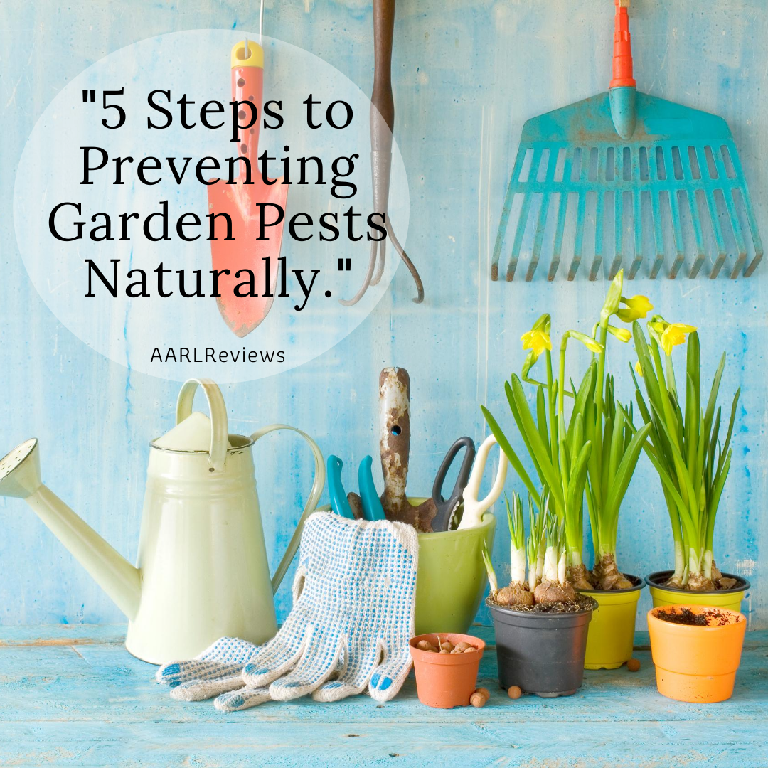 5 Steps to Preventing Garden Pests Naturally - Amy & Aron's