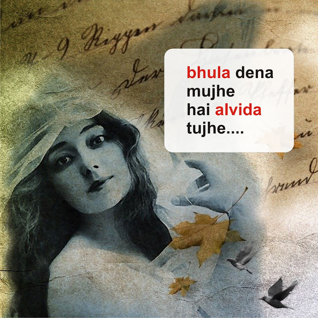 Bhula Dena Mujhe Lyrics In Hindi Damerblaster