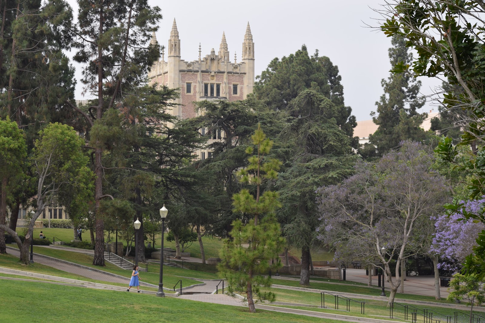 Travel for a Purpose: UCLA Campus around Election Walk Area