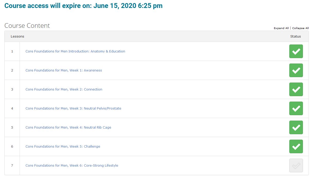 Every Bed of Roses: Core Foundations for Men {The Tummy Team Review}