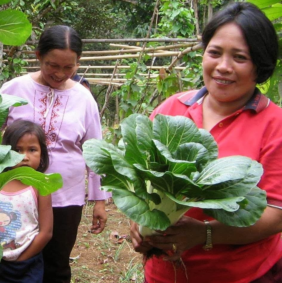 Living with Nature - School on Blog by Dr. Abercio V. Rotor: Grow ...