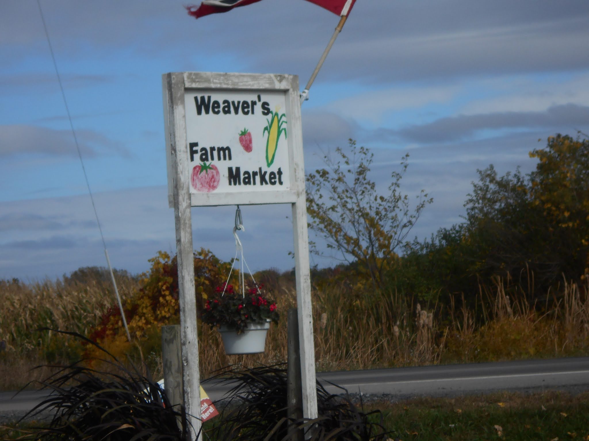 New York State of Mind: WEAVER'S FARM MARKET