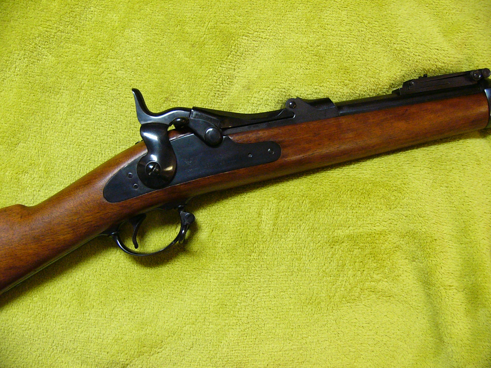 Sbírka historických zbraní: U.S. Springfield M1884 Trapdoor ...