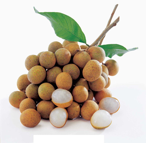 The Benefit of Longan Fruit - The World in Your Hand