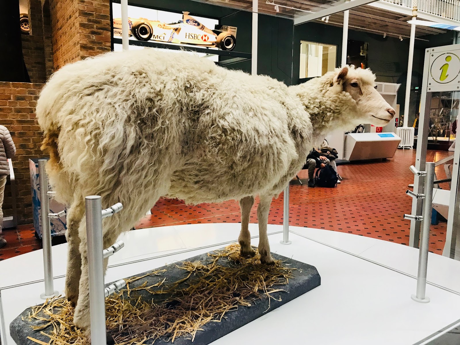 The Mystery of Dolly and 3-parent Children