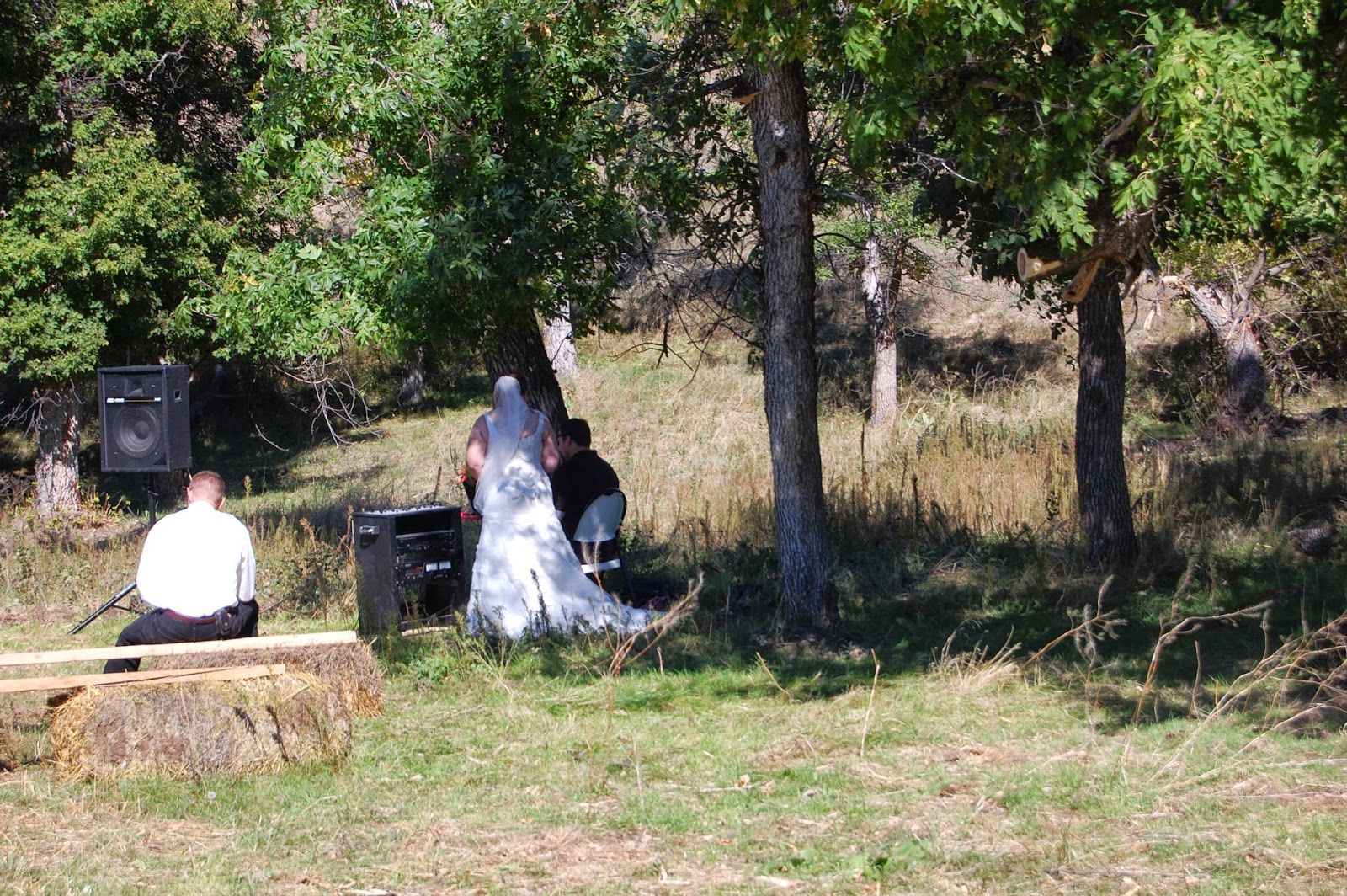 Nana Porcupine: Our first "COW PASTURE" wedding