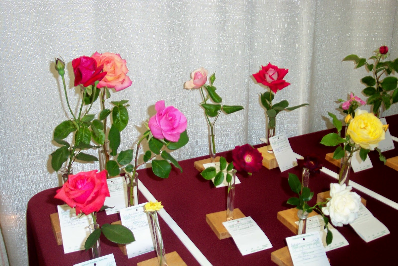 A Garden in Bethlehem PA