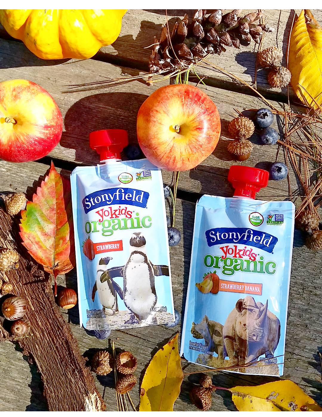 Treasure Hunts & Stonyfield® Organic YoKids® Yogurt!