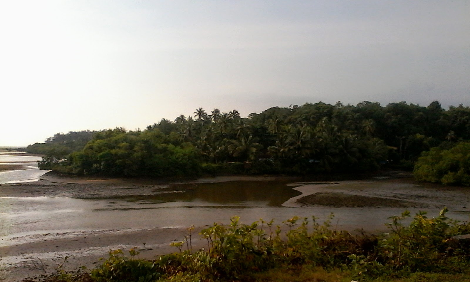 #09 TALPONA RIVER | Goa's Famous Places