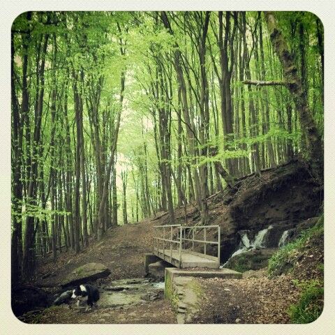 Gabriele Navickaite's A2 Music Video Blog : November 2013