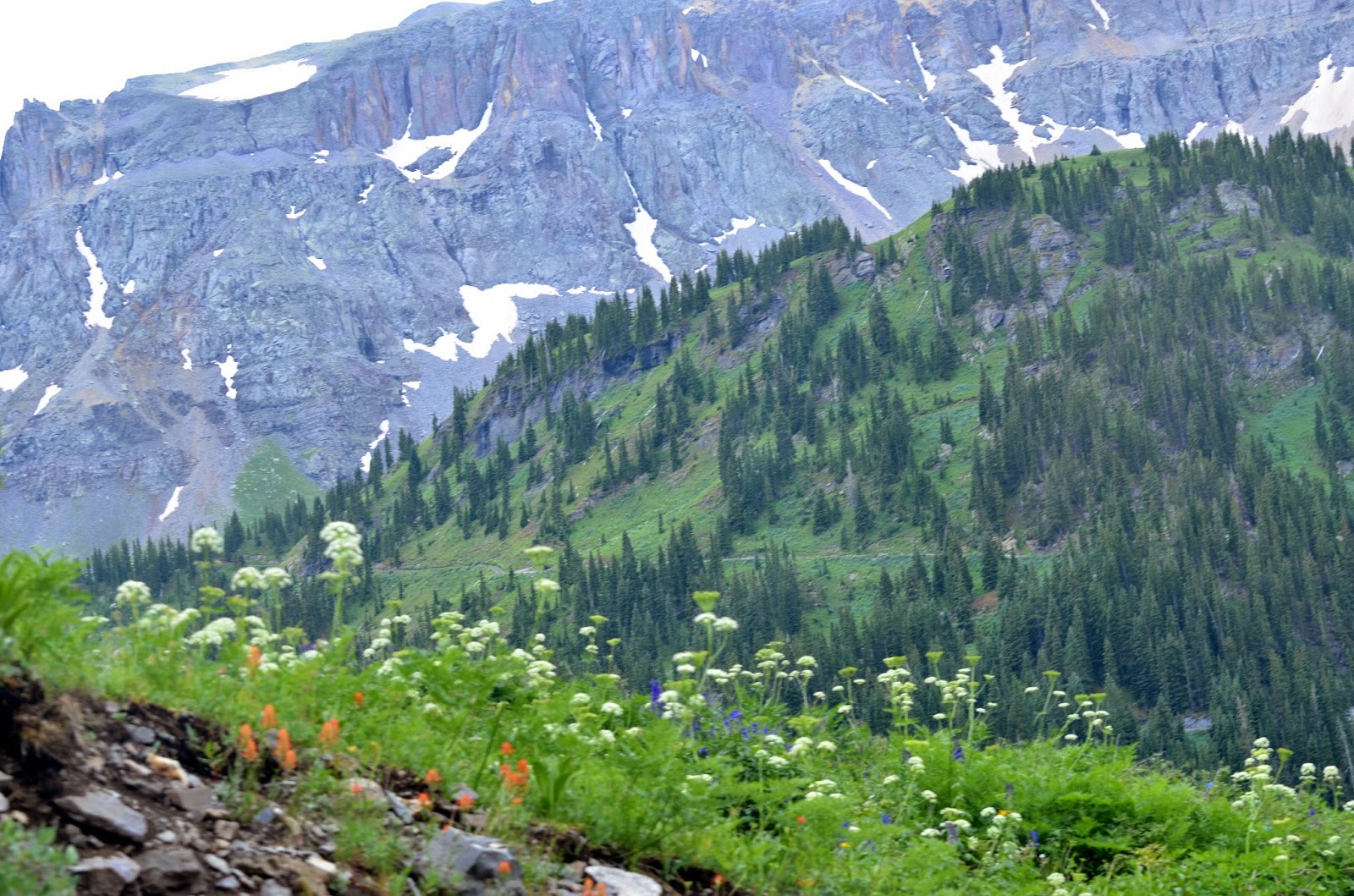 good-times-rollin: Yankee Boy Basin