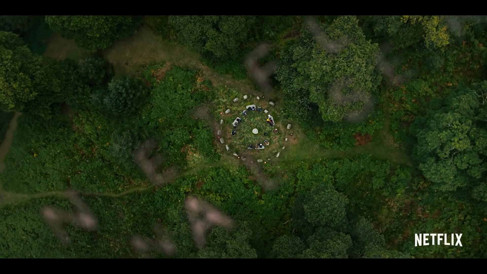 Fate: The Winx Saga premieres on January 22 + TEASER & More! - Winx ...