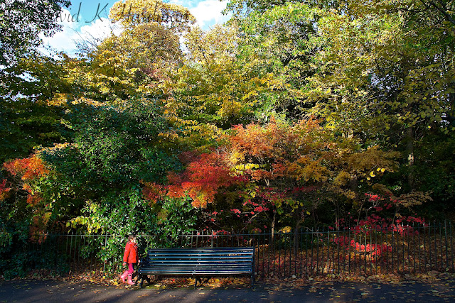 As I See It - David K Hardman Photography: A Sunday in autumn ...