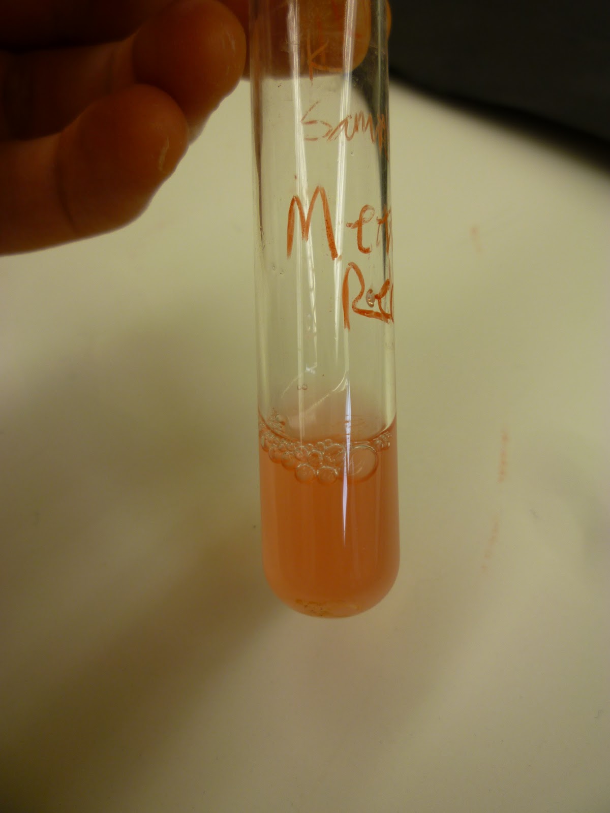 Medical Microbiology: October 18 & 20