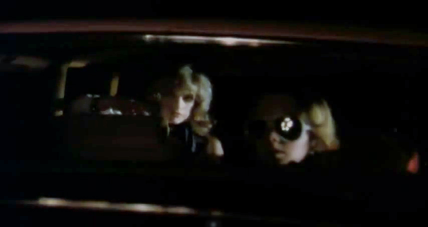 Dangerous Movies: The Visitor (1979) AKA Stridulum