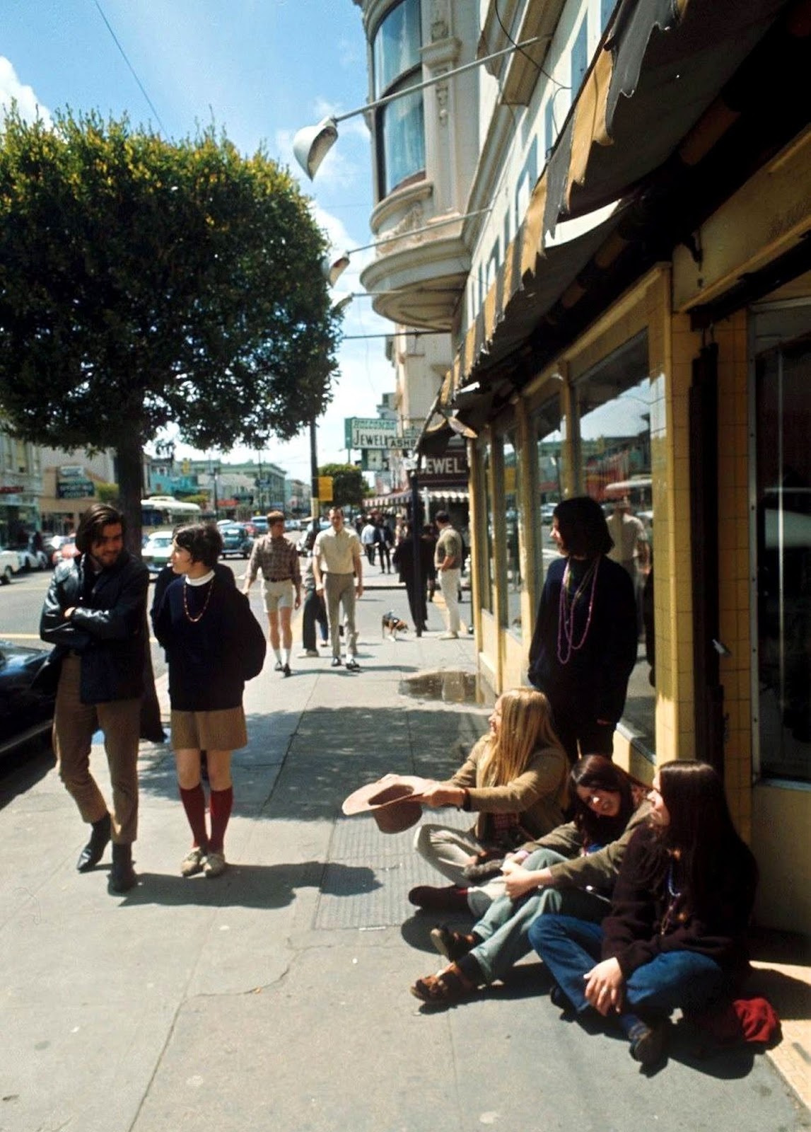 Forestdweller: Haight Ashbury