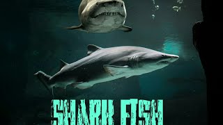 Animal video - bizarre life series 2020