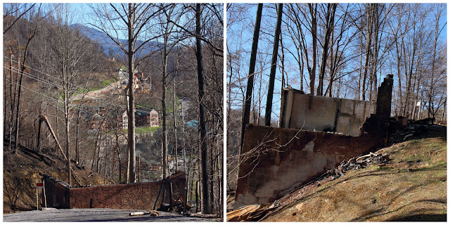 To Behold the Beauty: The Smokies After the Fire