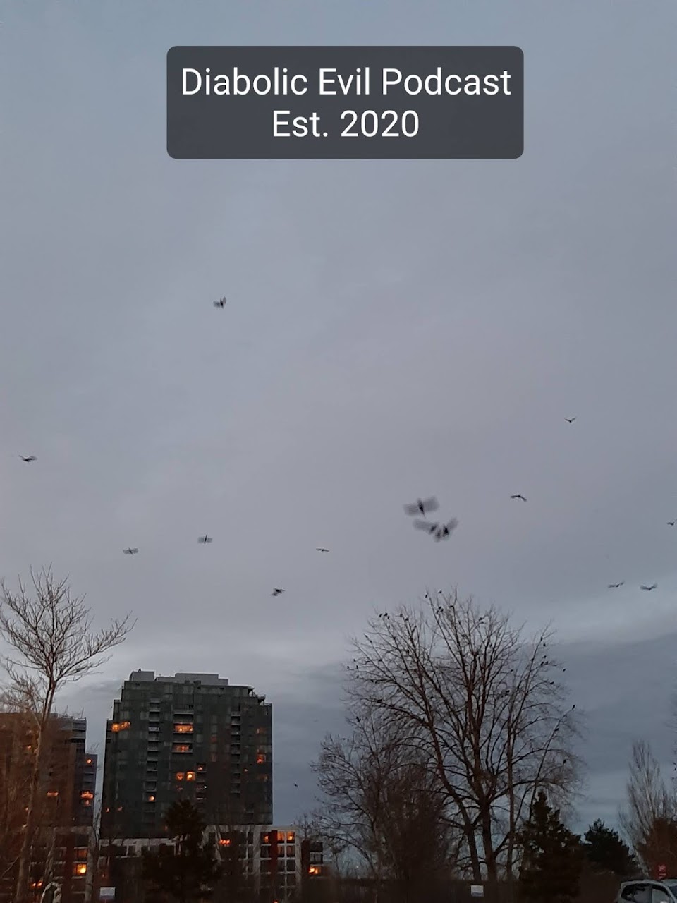 Season 1 (Episode 10) Levi Boone Helm