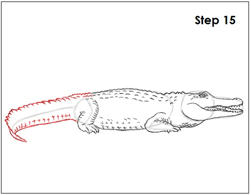 Cara Menggambar Buaya Mudah dan Lengkap - Point Opini | Penyedia Point ...
