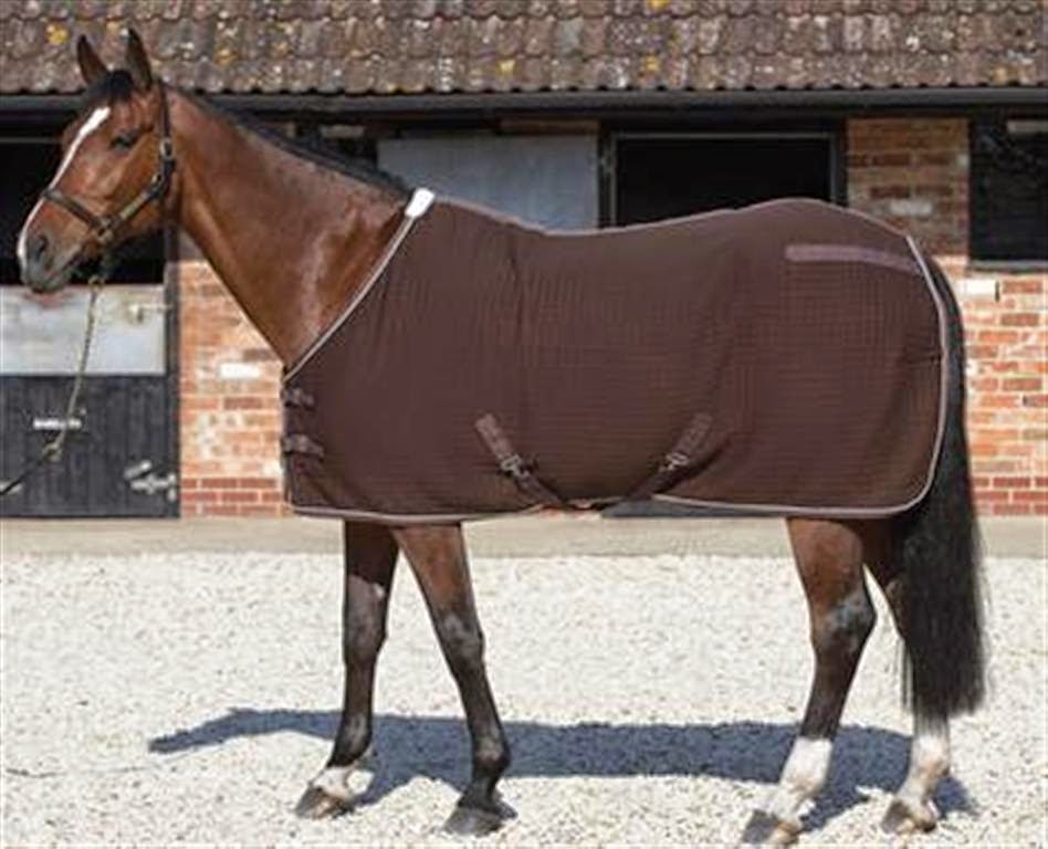 Horse Life and Love: More Rugs