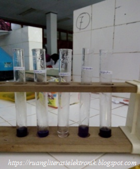 Biokimia_Protein (Kelarutan Asam Amino dan Uji Ninhidrin)