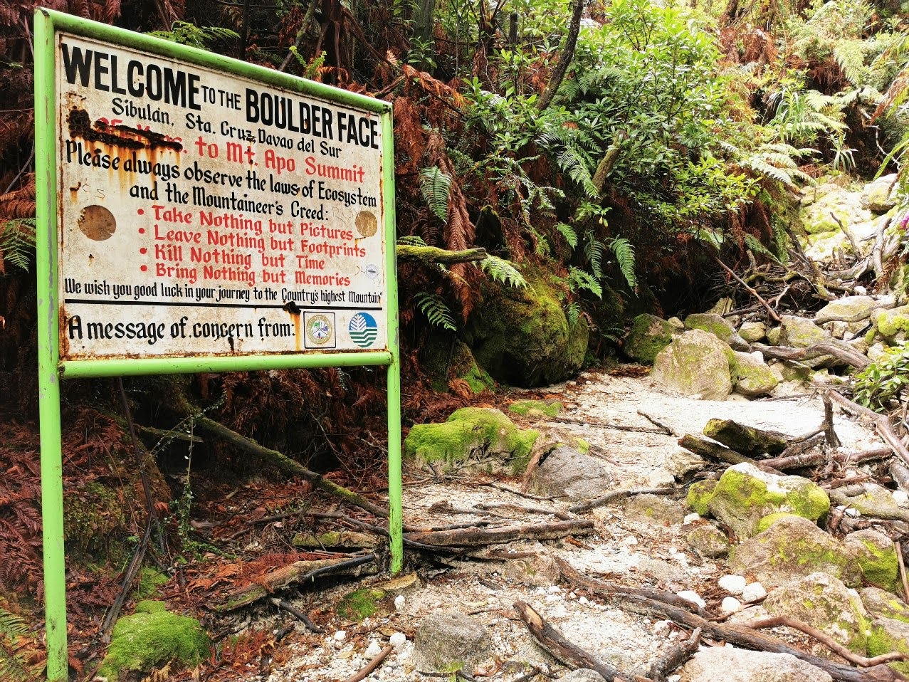 the viewing deck: Mt. Apo (2,954masl) Day-Hike (Sibulan Trail)