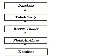 PERTEMUAN 1 PENGENALAN DATABASE - Jejak Jemari Ku