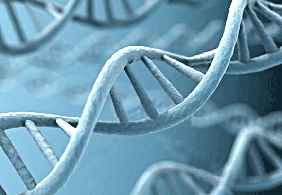Universal Blessing : Η ΚΑΤΑΓΩΓΗ ΤΟΥ ΓΗΙΝΟΥ ΑΝΘΡΩΠΙΝΟΥ DNA