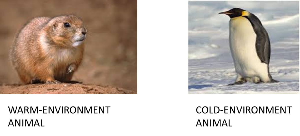 Important Ecological Rules for CSIR- PART-I