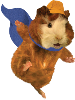 Wonder Jet: Linny the Guinea Pig
