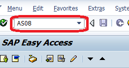 SAP FICO Central: Maintain Asset Number Ranges – AS08
