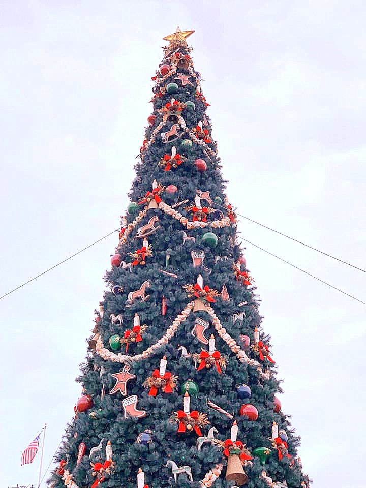 Mickey's very merry Christmas Party, Magic Kingdom | Dollops of sky