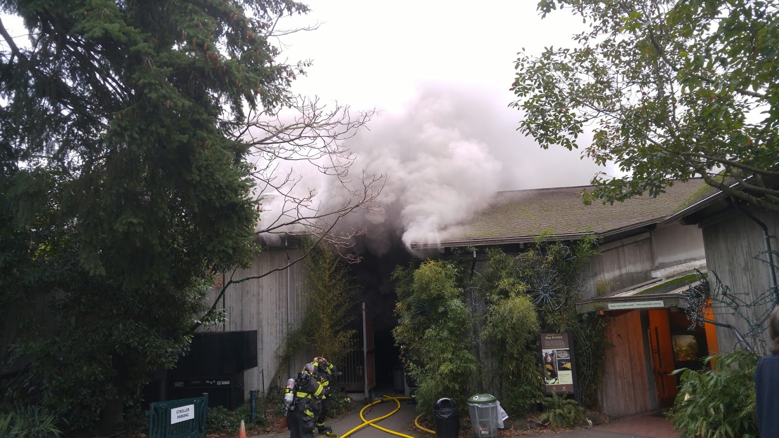 New life emerges as hopeful sign after Woodland Park Zoo fire
