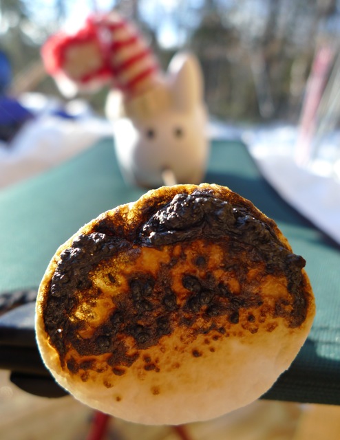 Year of the Labbit: Happy Trails, Happy Labbit Tails