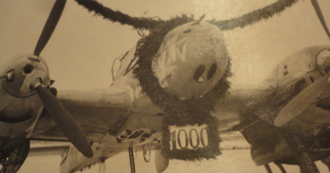 FalkeEins - the Luftwaffe blog: Messerschmitt Bf 110 C/D coded 'A5 ...