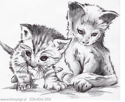 Jak szkicować rysunki? - Zapytaj.onet.pl