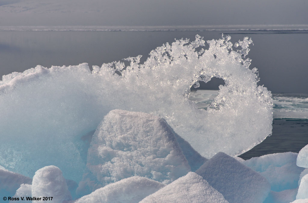 Ross Walker photography: Bear Lake Ice Breakup