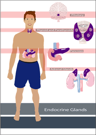 Dentistry and Medicine: Multiple Endocrine Neoplasia Short Note-Oral ...