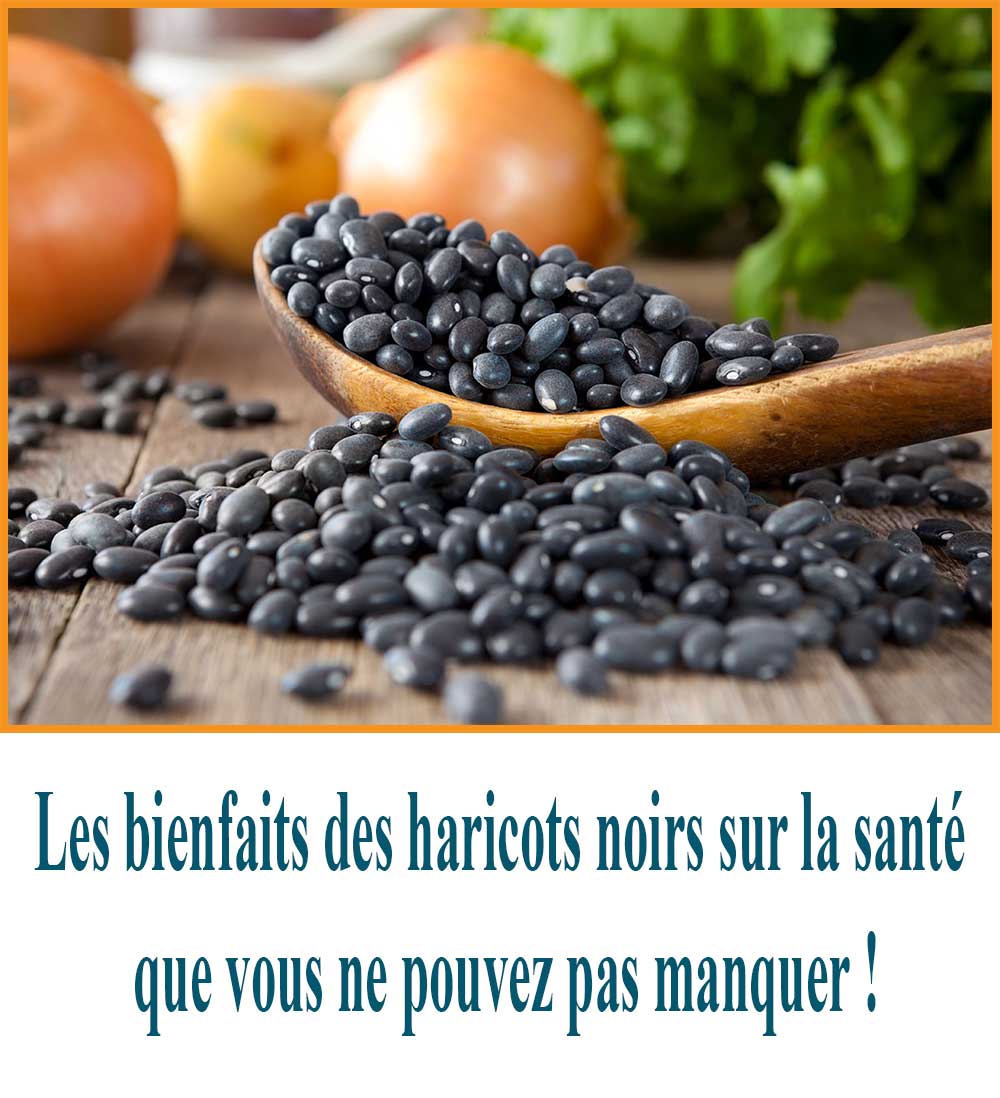 Sports et Santé: Les bienfaits des haricots noirs sur la santé que vous ...
