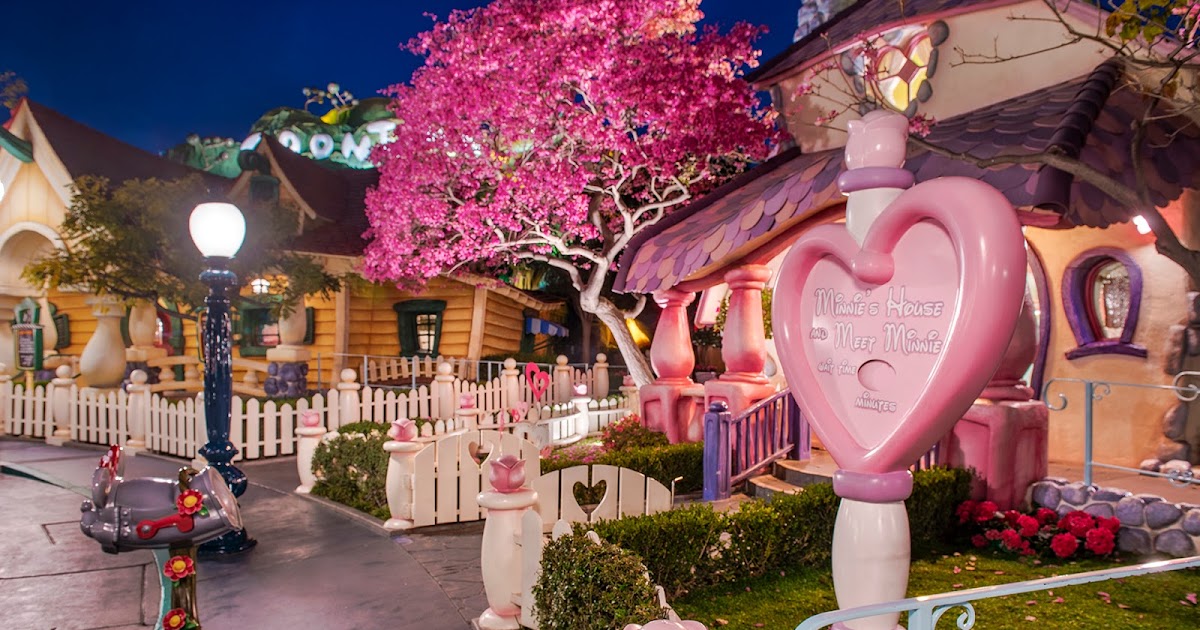 Disney Photoblography