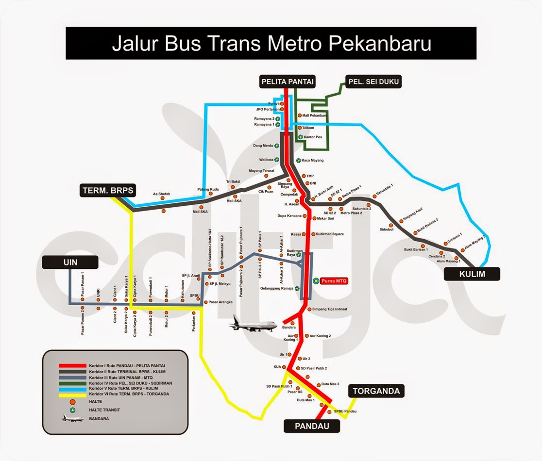 Trayek Bus Trans Metro Pekanbaru ~ BARUDO