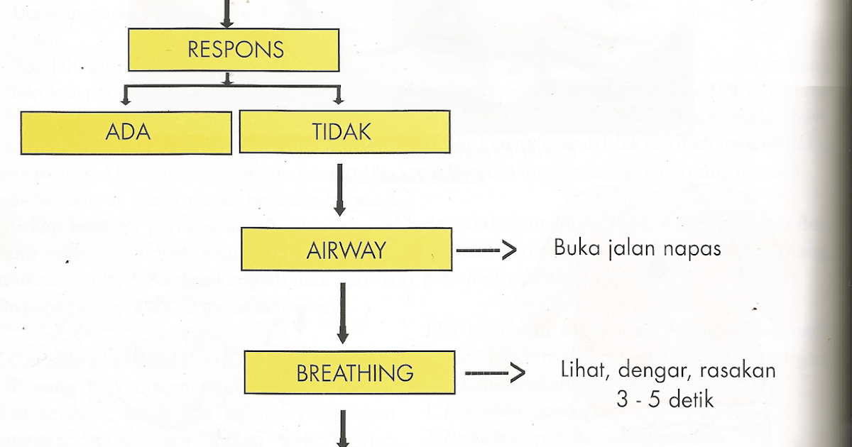 Bantuan Hidup Dasar & Resusitasi Jantung Paru (RJP)