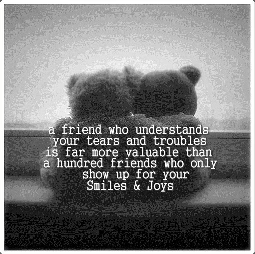 A friend who understands your tears and troubles is far more valuable ...
