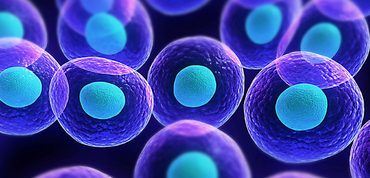 I Am Healed!: Our body's cells are healing all the time