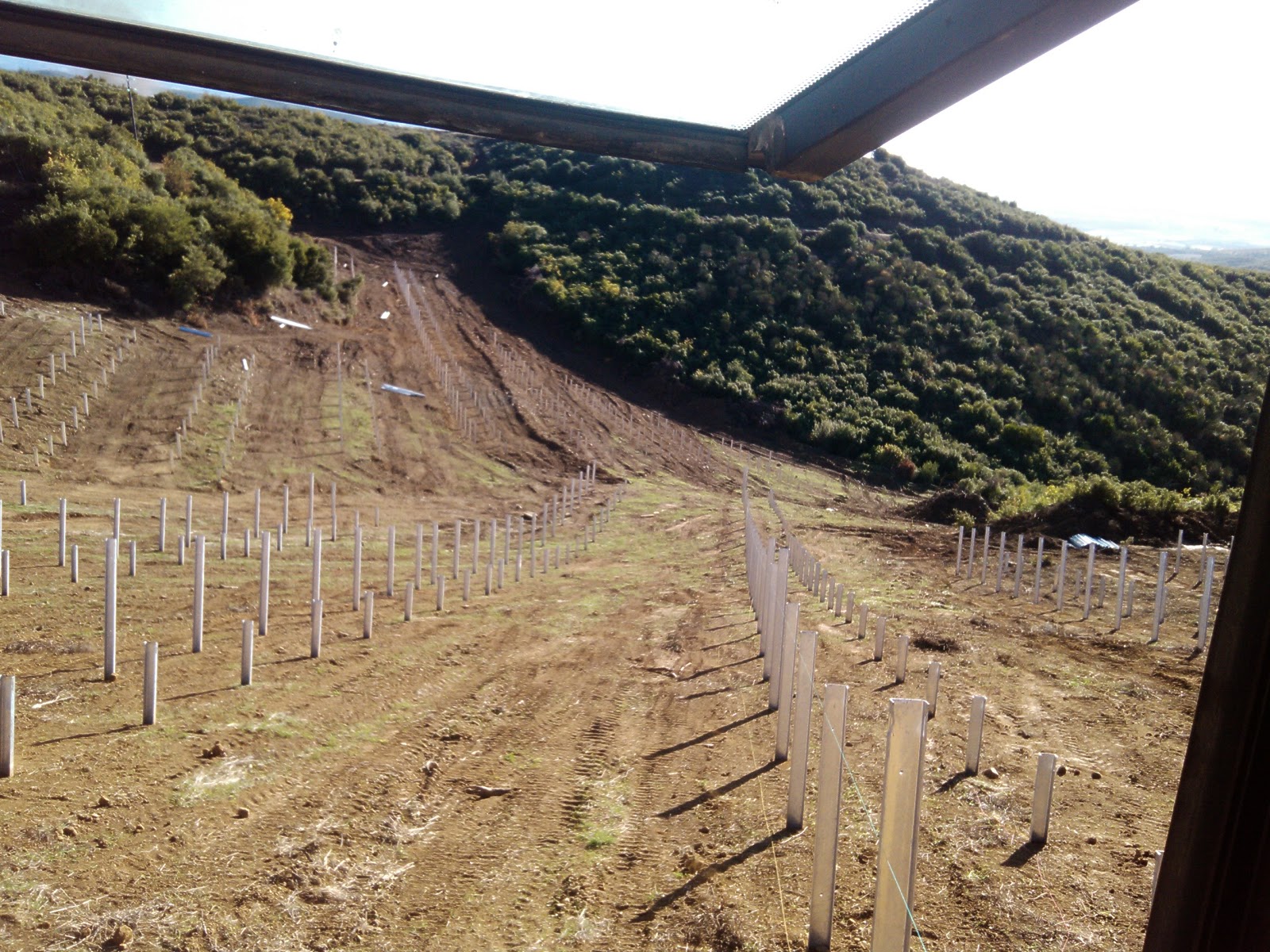 ΝΕΛΛΑΣ ΚΑΤΑΣΚΕΥΑΣΤΙΚΗ ΤΕΧΝΙΚΗ ΕΤΑΙΡΙΑ ΛΑΜΙΑ: ΠΡΟΣΦΑΤΗ ΔΡΑΣΤΗΡΙΟΤΗΤΑ