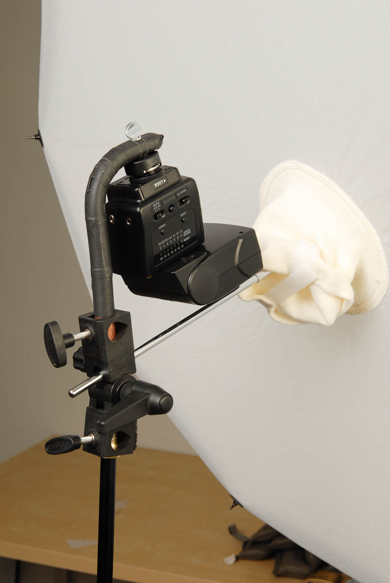 365 - A Daily Photo Blog for 2021: D.I.Y. Photek Softlighter II Flash ...