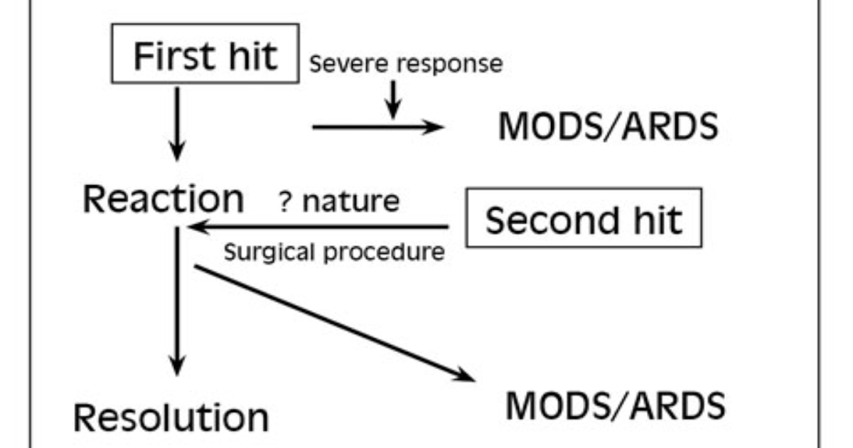 Damage Control Orthopaedics